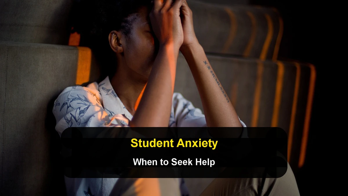 Best Student Bank Accounts and Forex Cards for Study Abroad • Uni2Study.com