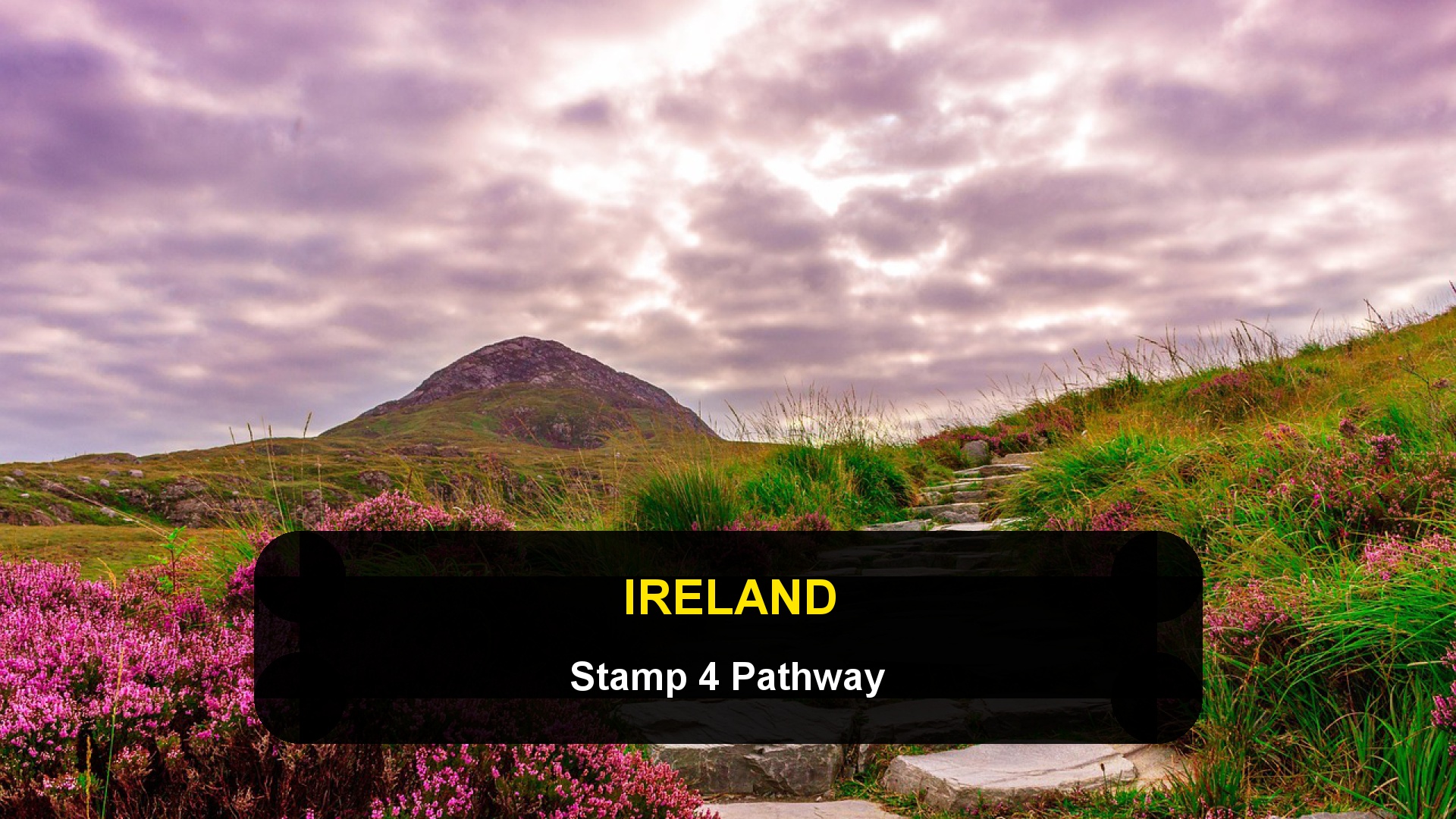 From Ireland Student Visa to Stamp 4: How Long the Pathway to Permanent ...